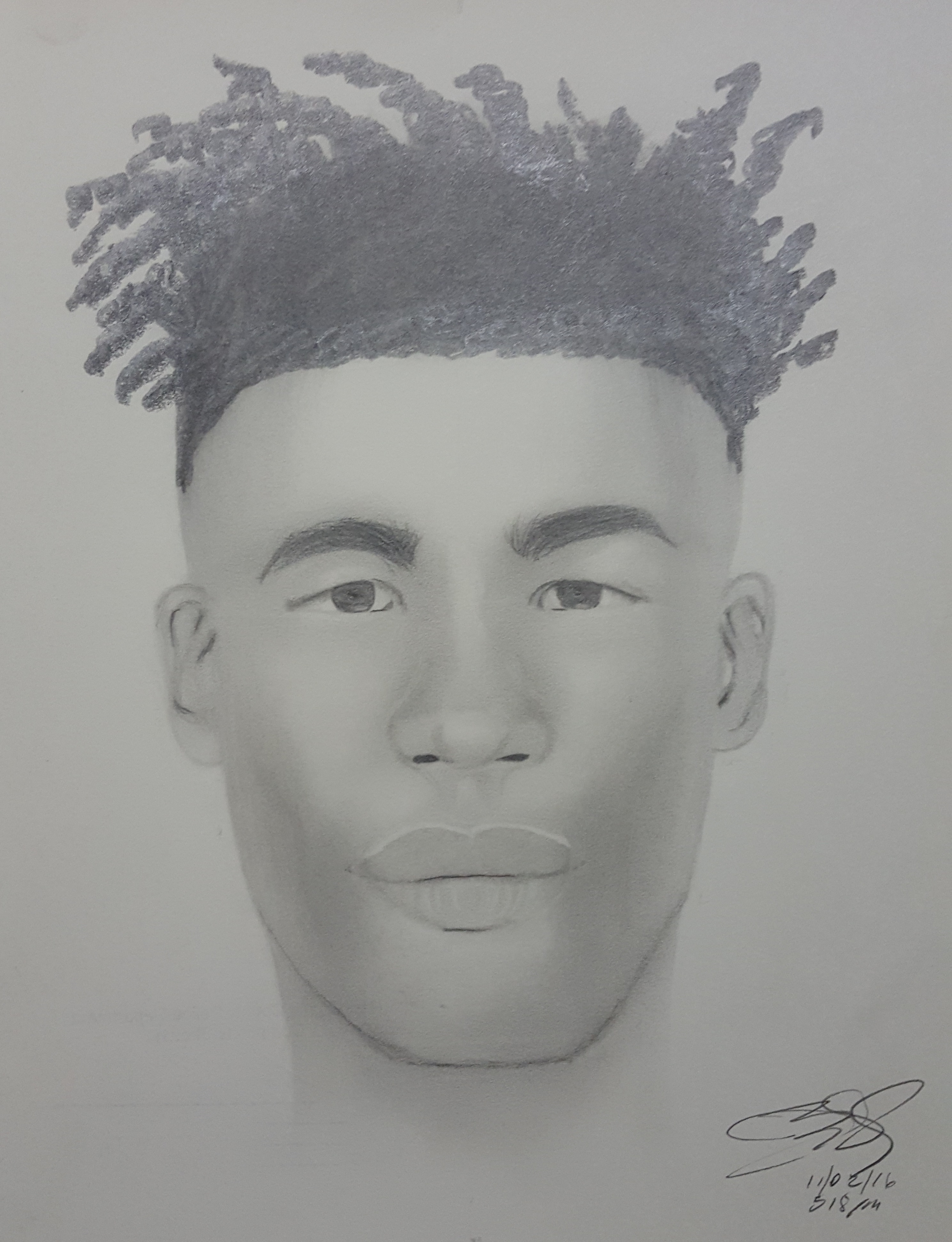 County Police Release Composite Sketch – New Castle County Police ...