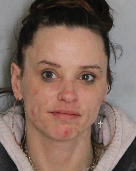 POLICE ARREST CARJACKING SUSPECT – New Castle County Police Department News