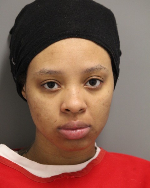 POLICE ARREST DRUG DEALER IN ROSETREE HUNT – New Castle County Police News