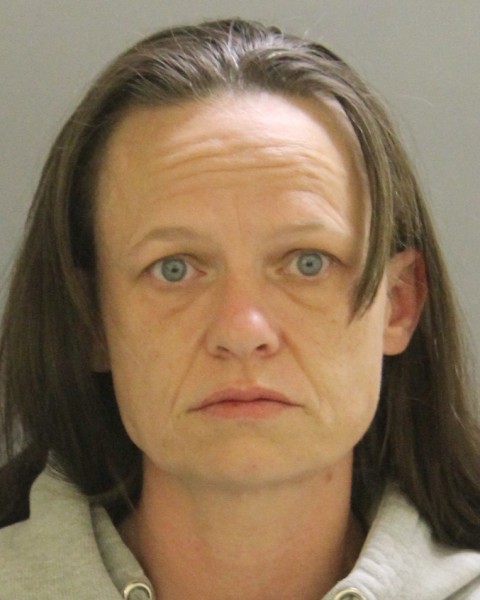 POLICE INVESTIGATE A CRASH WHERE A DOG WAS KILLED – New Castle County ...