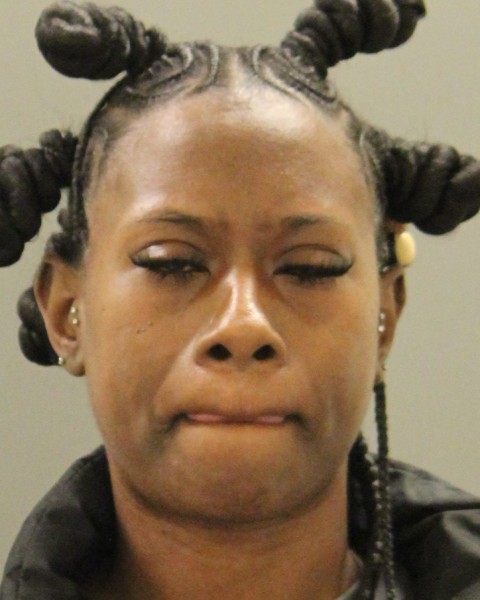 ARREST MADE IN THE STARVATION DEATH OF A 4-YEAR-OLD CHILD. – New Castle ...
